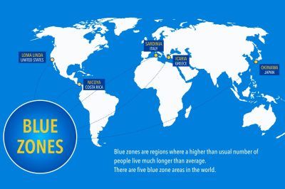 About the Blue Zone - Blue Zone Legal